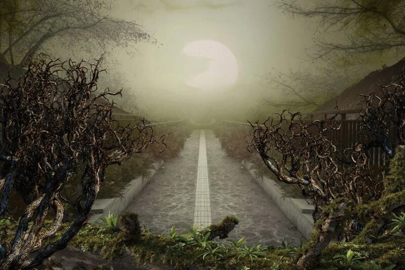 Halloween Photography Backdrop Terror Night Moon Mist Desolate Road ...