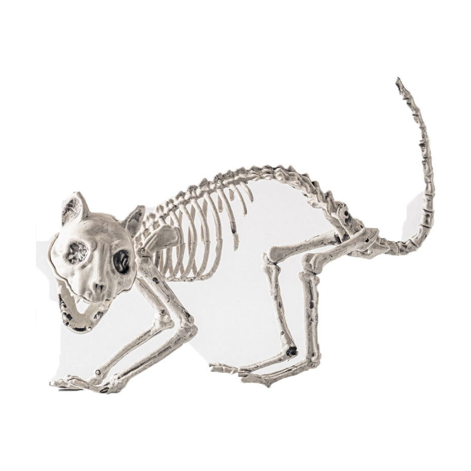 Halloween Plastic Dog Skeleton Puppy Skeleton Plastic Dog Bones wth ...