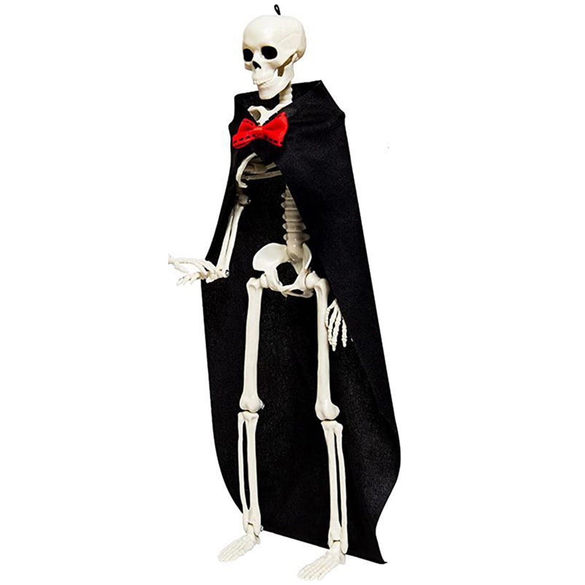 Halloween Plastic Skeleton Decorations Realistic Miniatures Human Body ...