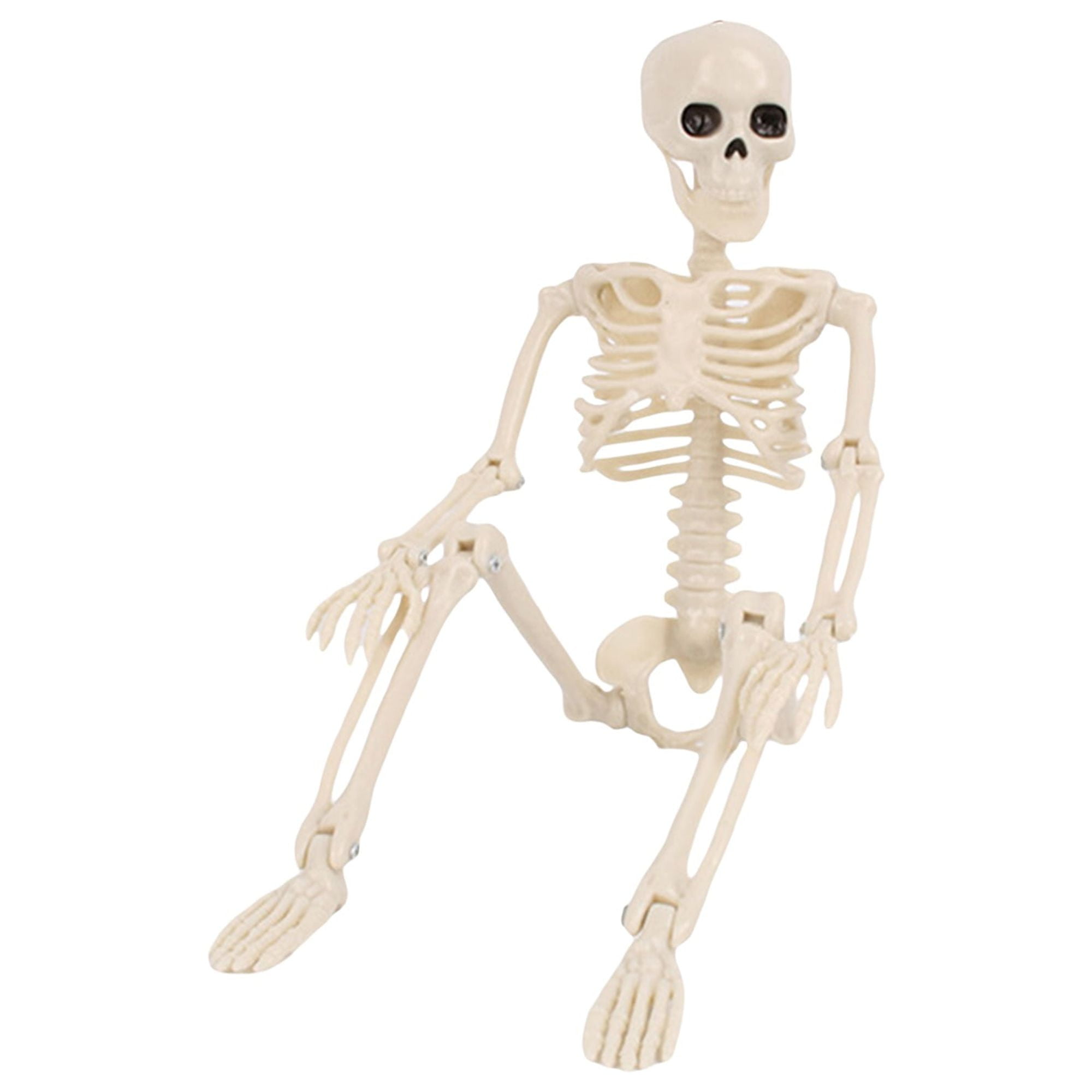 Halloween Plastic Skeleton Decorations Realistic Miniatures Human Body ...