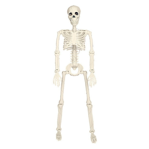 Giant Skeleton