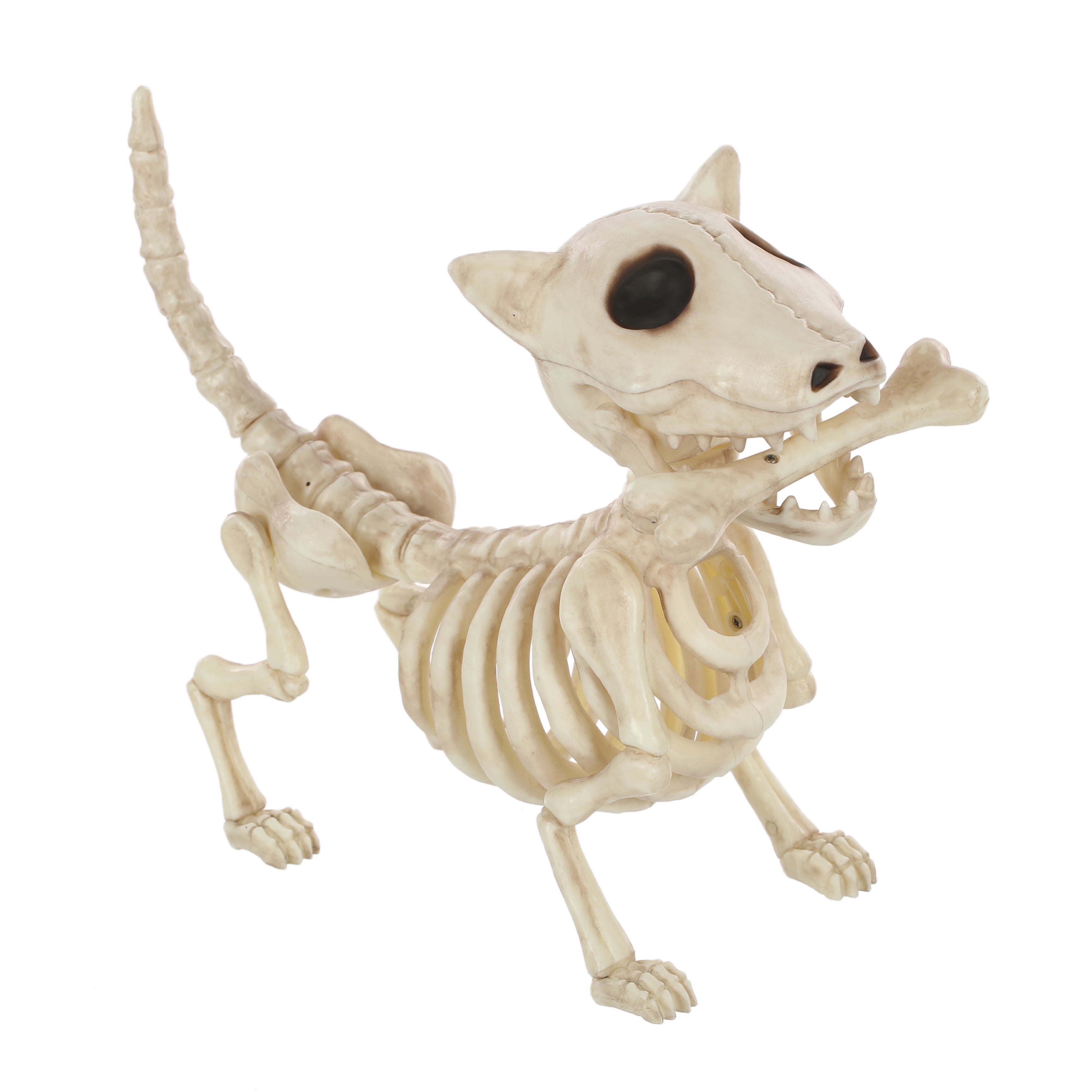 Halloween Prop Skeleton Dog with Bone Porch Decor, 9 in, by Way To ...