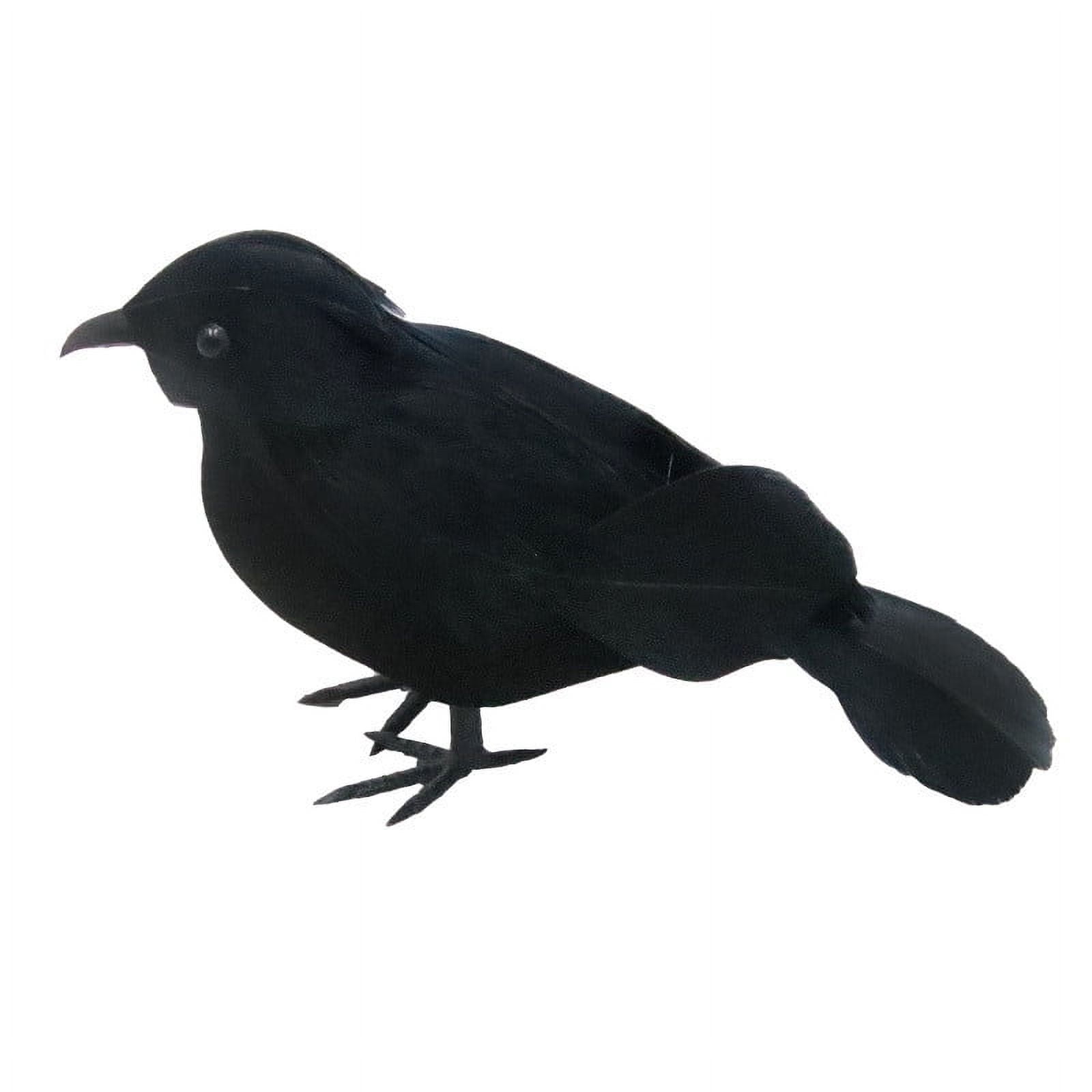 Halloween Realistic Crow Decorations, Realistic Black Feather Standing ...