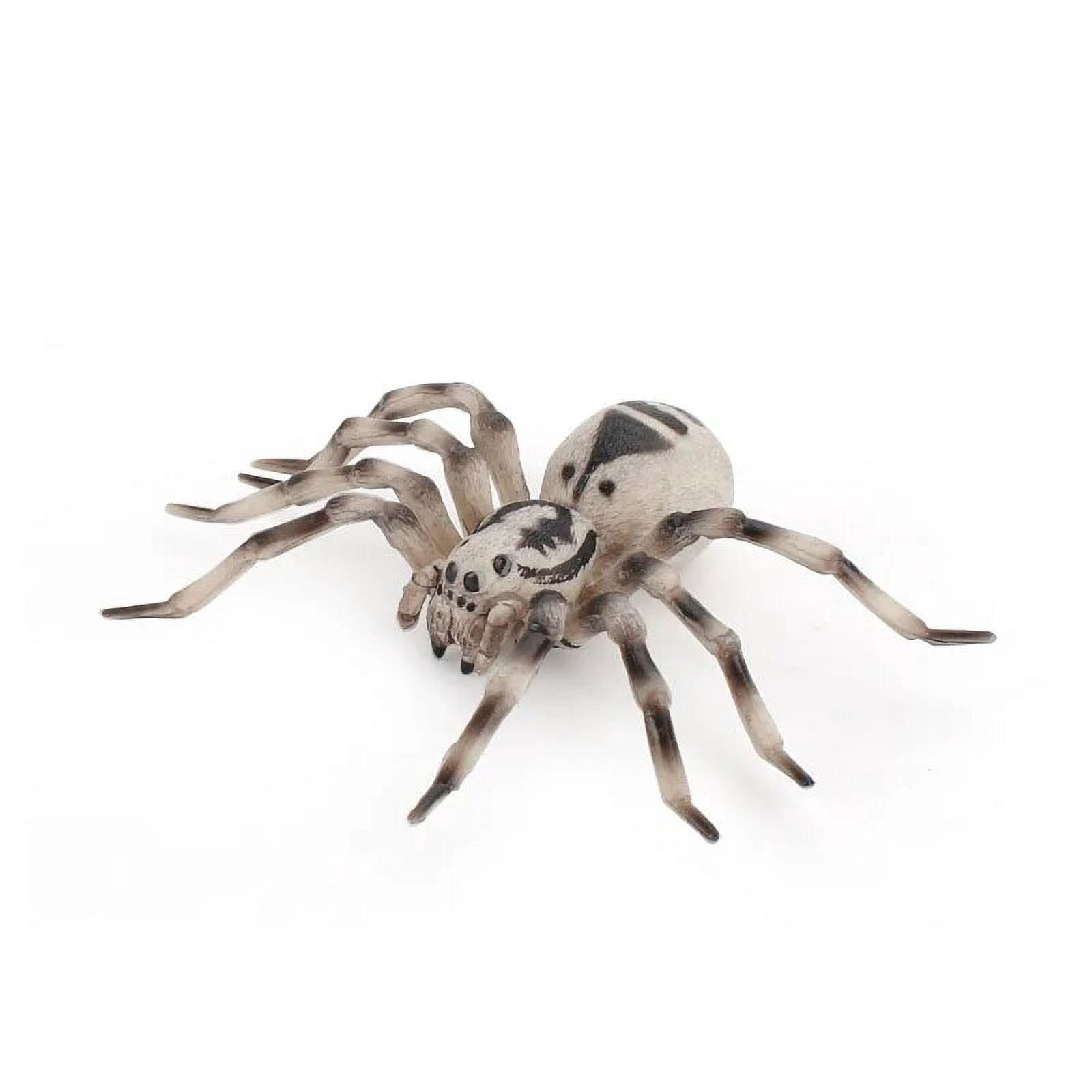 Halloween Rubber Spider Prank Wooden Box Toys for Kids False Tongue ...