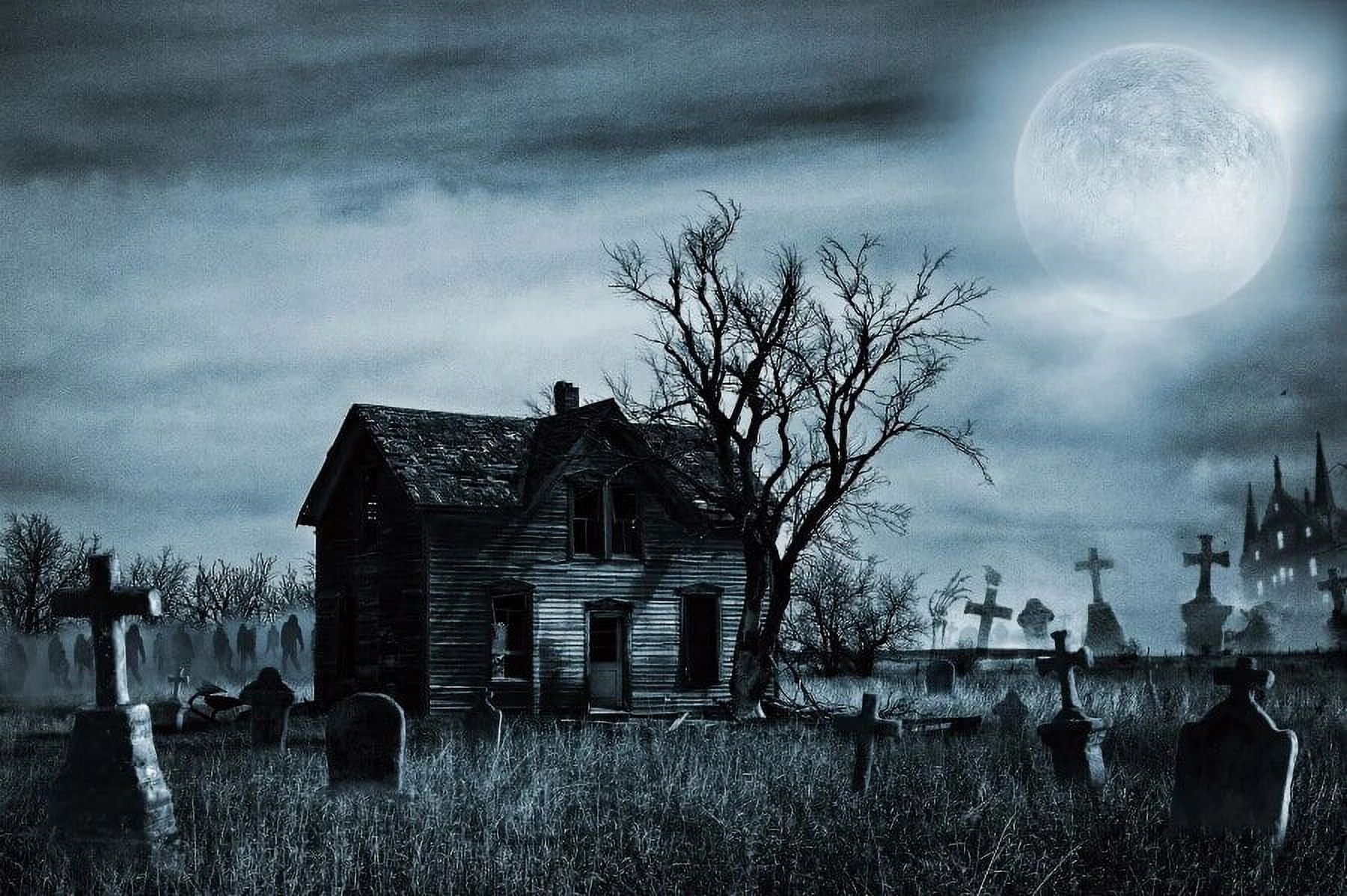Halloween Scary Haunted House Backdrop Night Moonlight Graveyard Kid ...