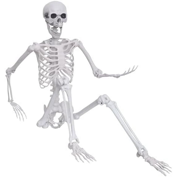Halloween Skeleton Decor,5.4ft Posable Skeleton Full Body Human ...