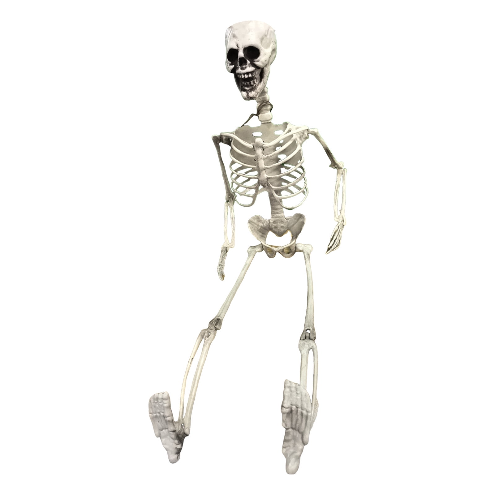 Halloween Skeleton Decor, Full Body Movable Joints Plastic Skeletons ...