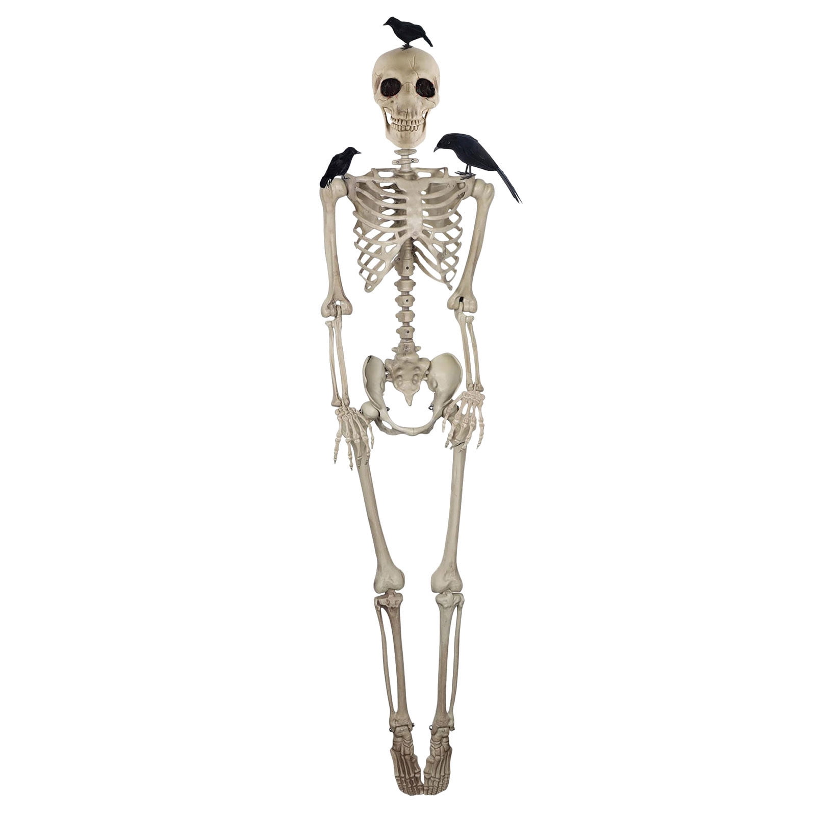Halloween Skeleton Decor, Full Body Movable Joints Plastic Skeletons ...