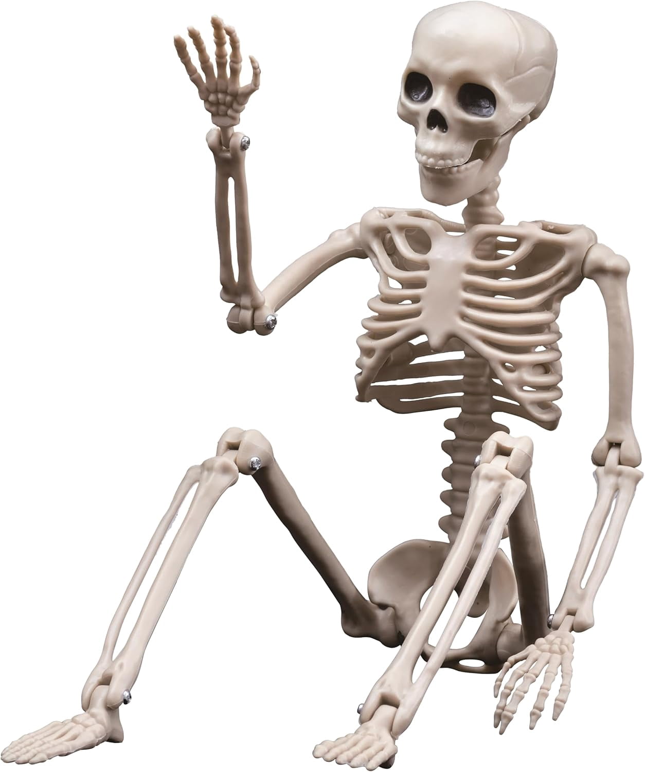 Halloween Skeleton Decoration, 15.7 Inch Mini Skeleton with Movable ...