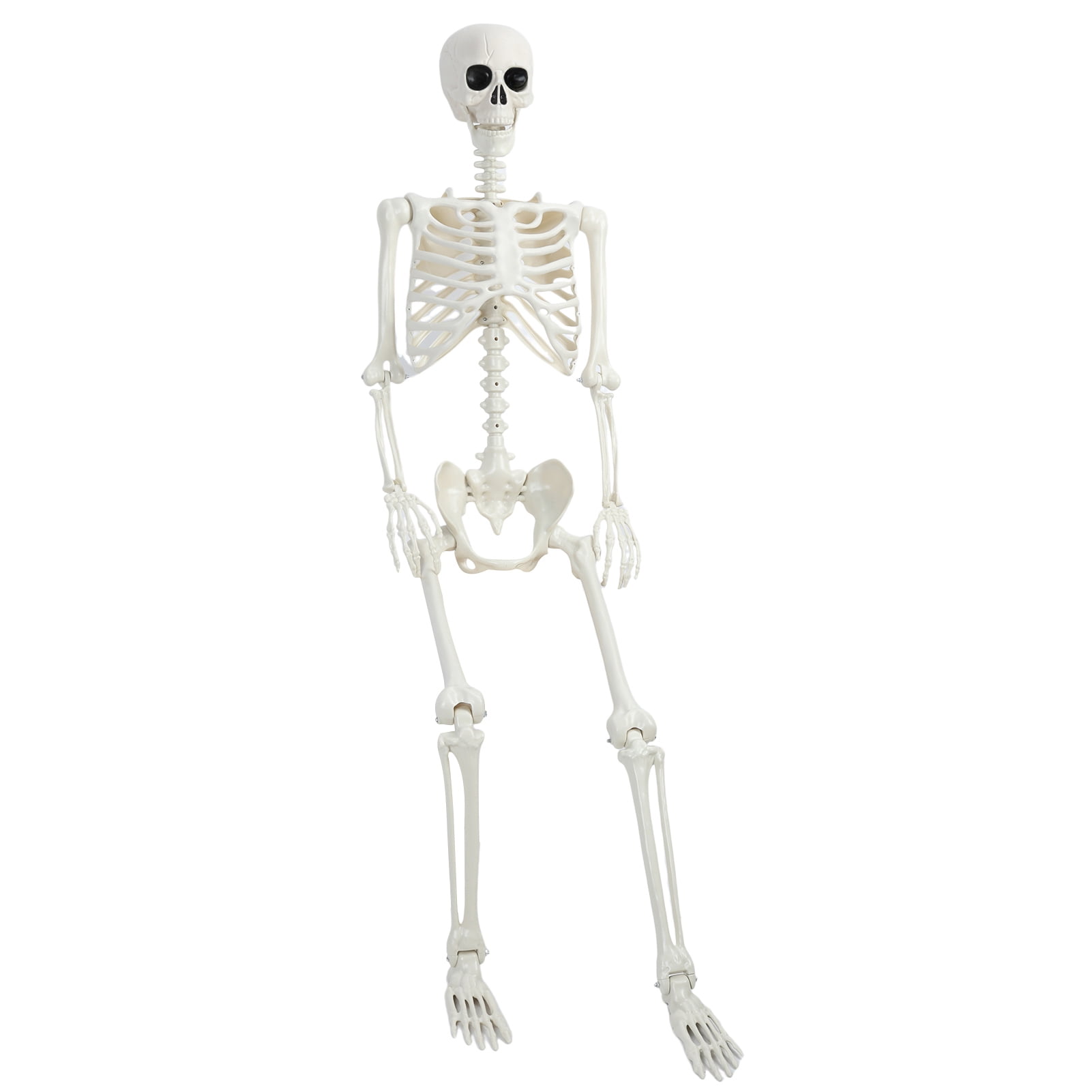 Halloween Skeleton Decoration 35" Full Body Skeleton Bone Statue ...