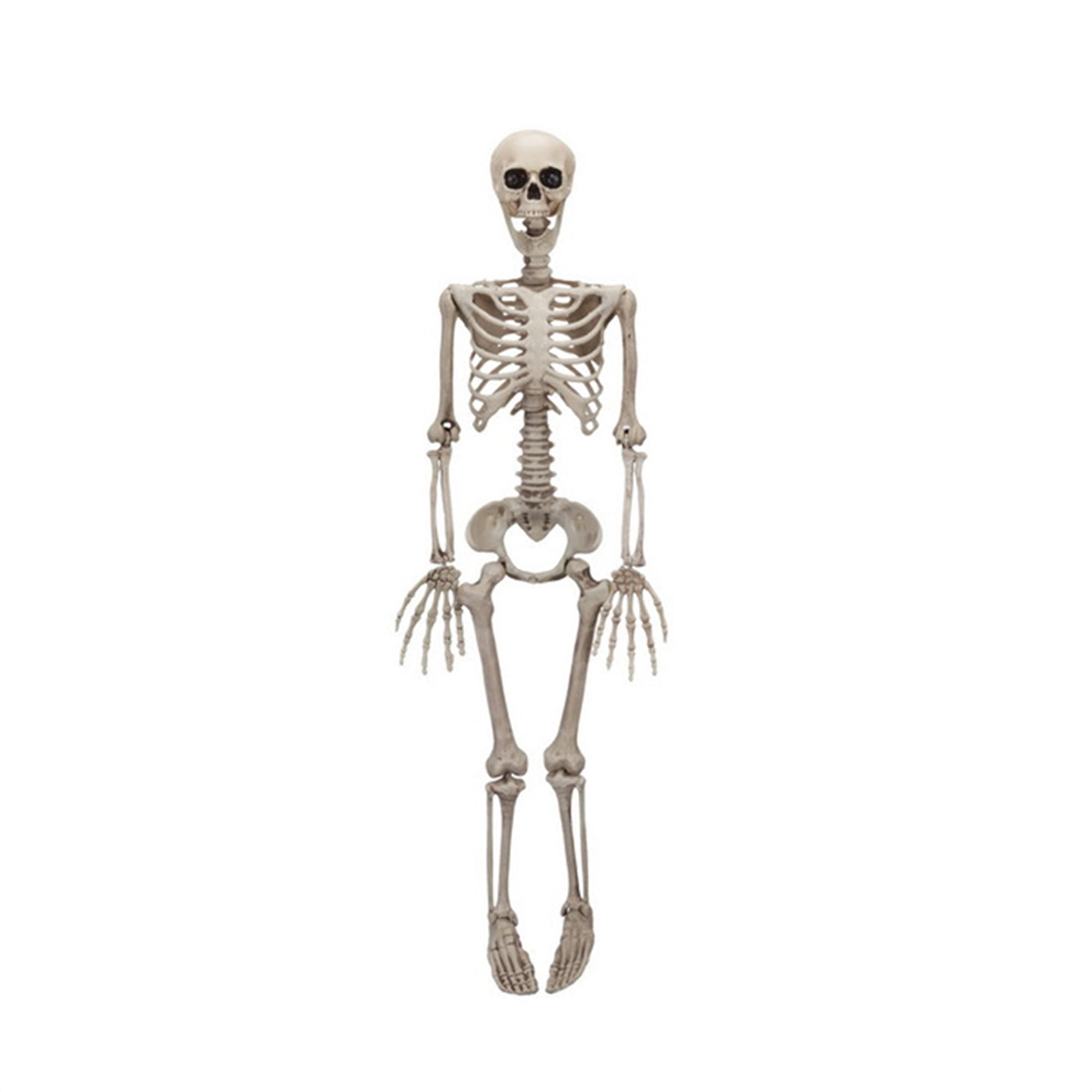 Walmart 35'' Poseable Full Size Human Skeleton Halloween Decor ...