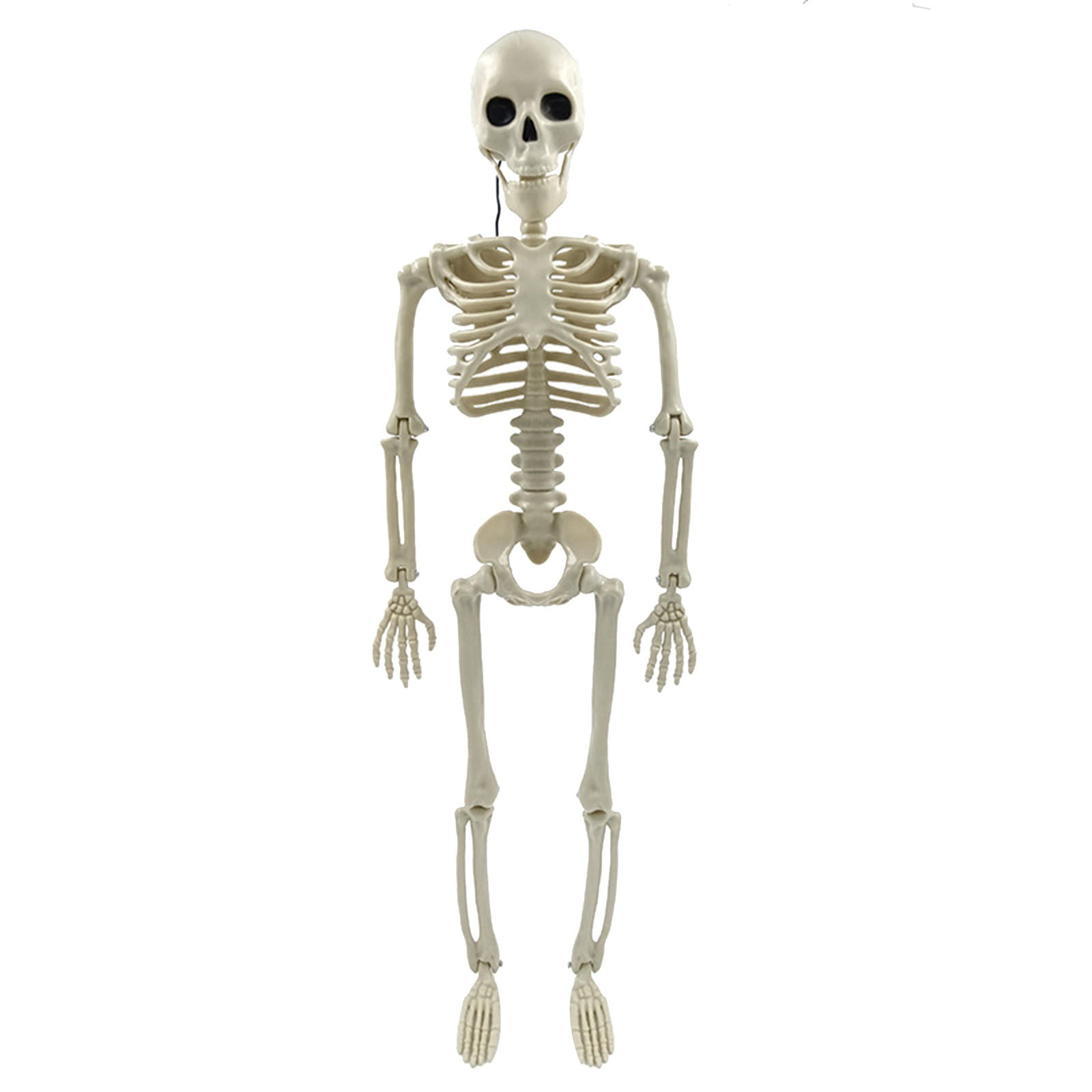 Halloween Skeleton Decorations,15inch Full Body Posable Halloween ...