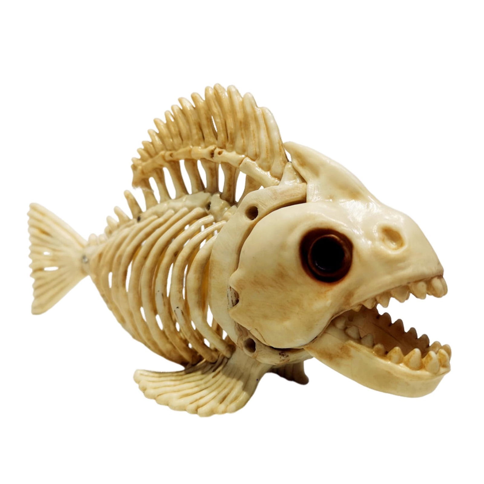 Halloween Skeleton Fish Model Realistic Plastic Carp Skull Bone Art ...
