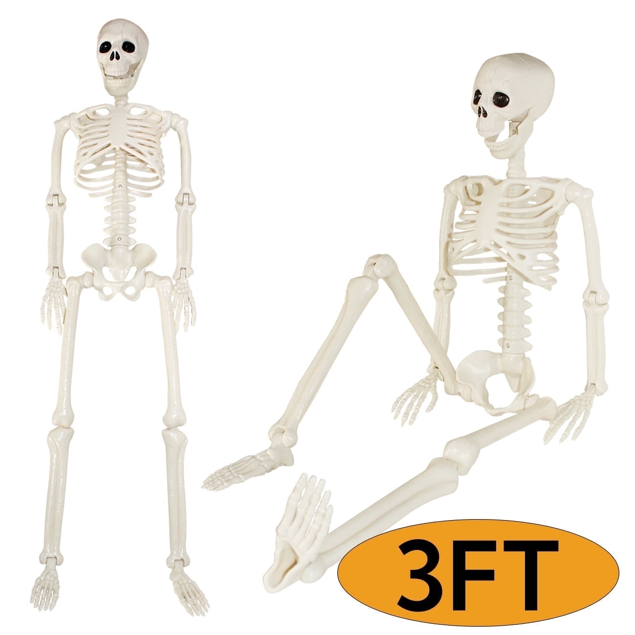 Halloween Skeleton Full Body Posable Skeleton with Movable Joints ...