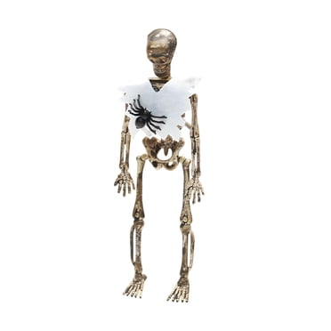 15.7'' Spooky Halloween Posable Skeleton - Pumpkin Skull Full Body ...