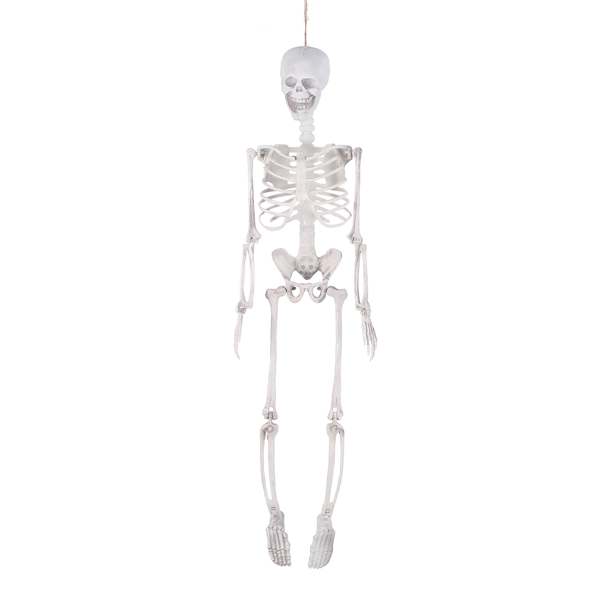 Halloween Skeleton Glow-in-The-Dark Skeleton Full Body Skeleton ...