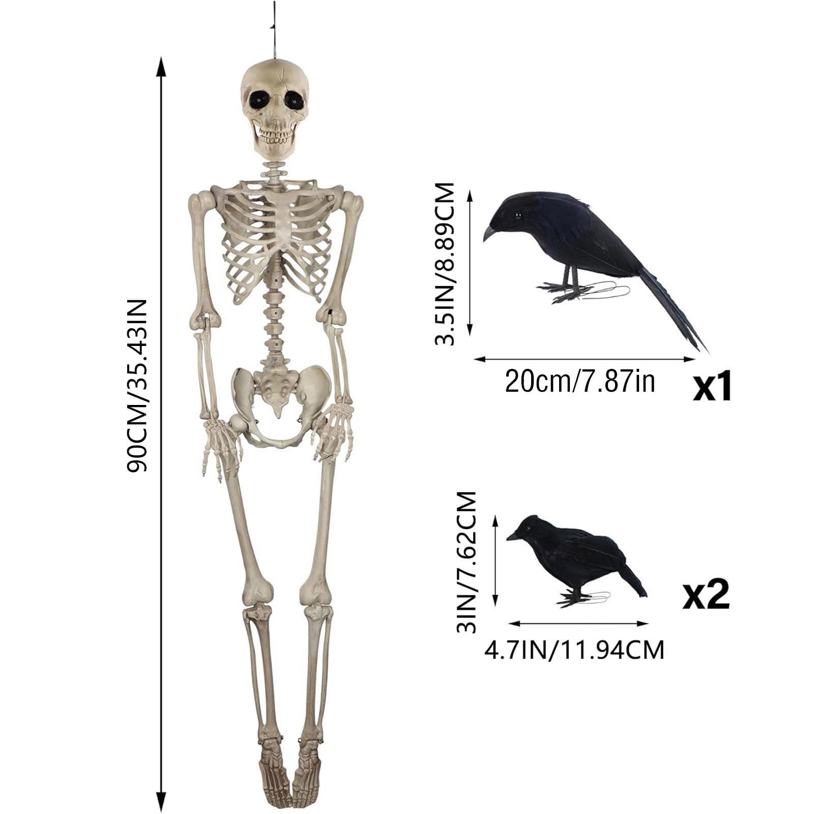 Halloween Skeleton,Posable Skeleton Full Size Skeleton with Movable ...