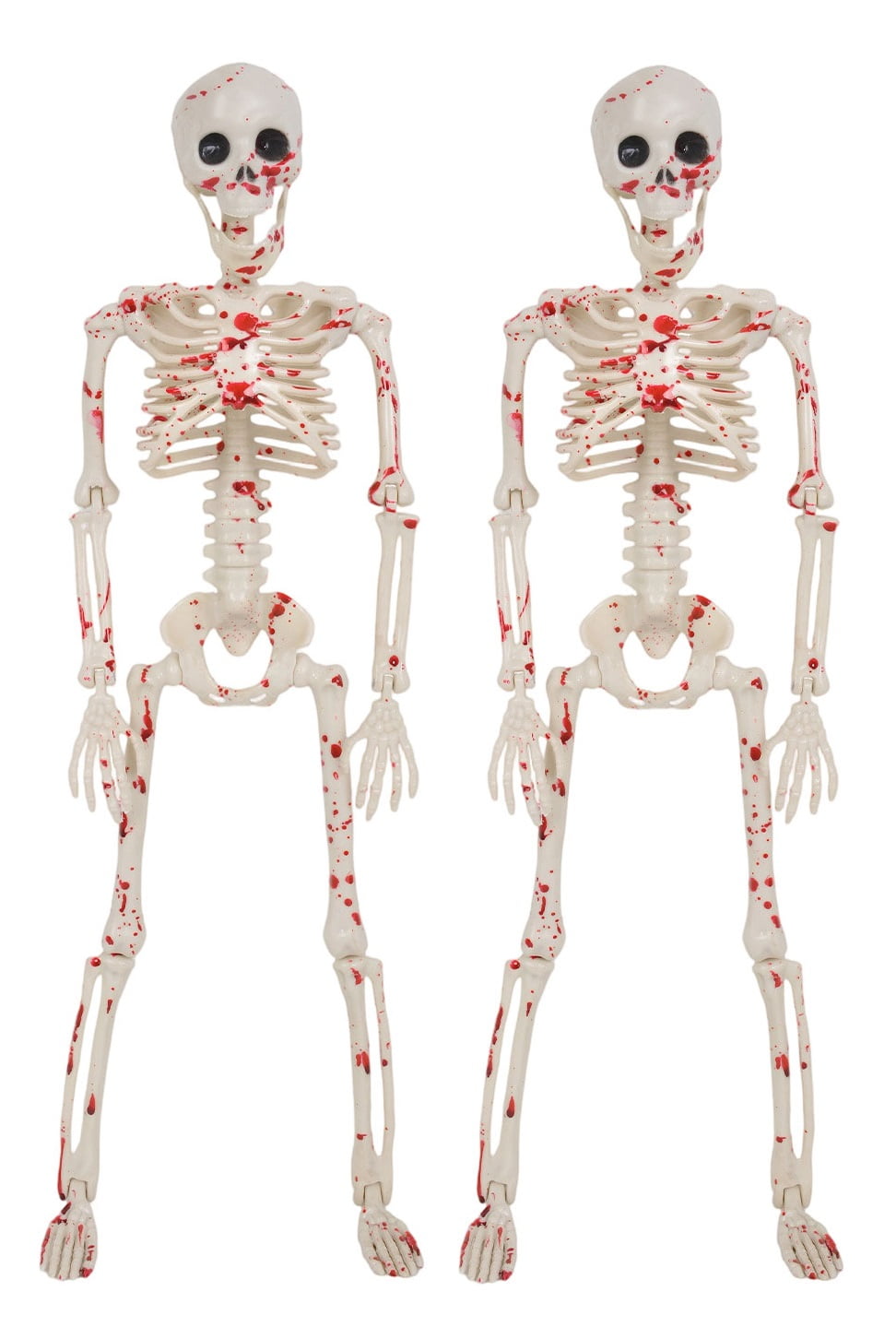 Halloween Skeleton - Samll 16“ Skeleton with Full Body Posable Joints ...
