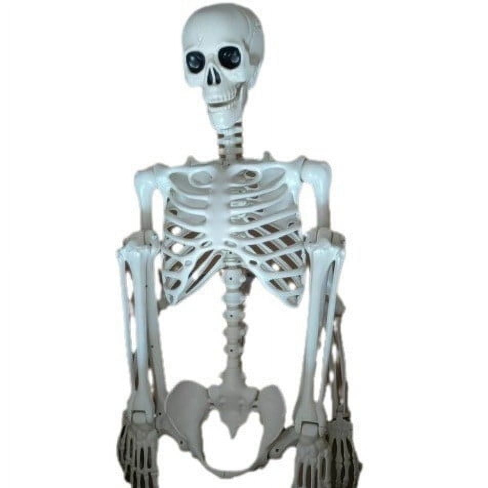 Halloween Skeleton With Colorful Lantern Eyes Prop Human Full Size ...