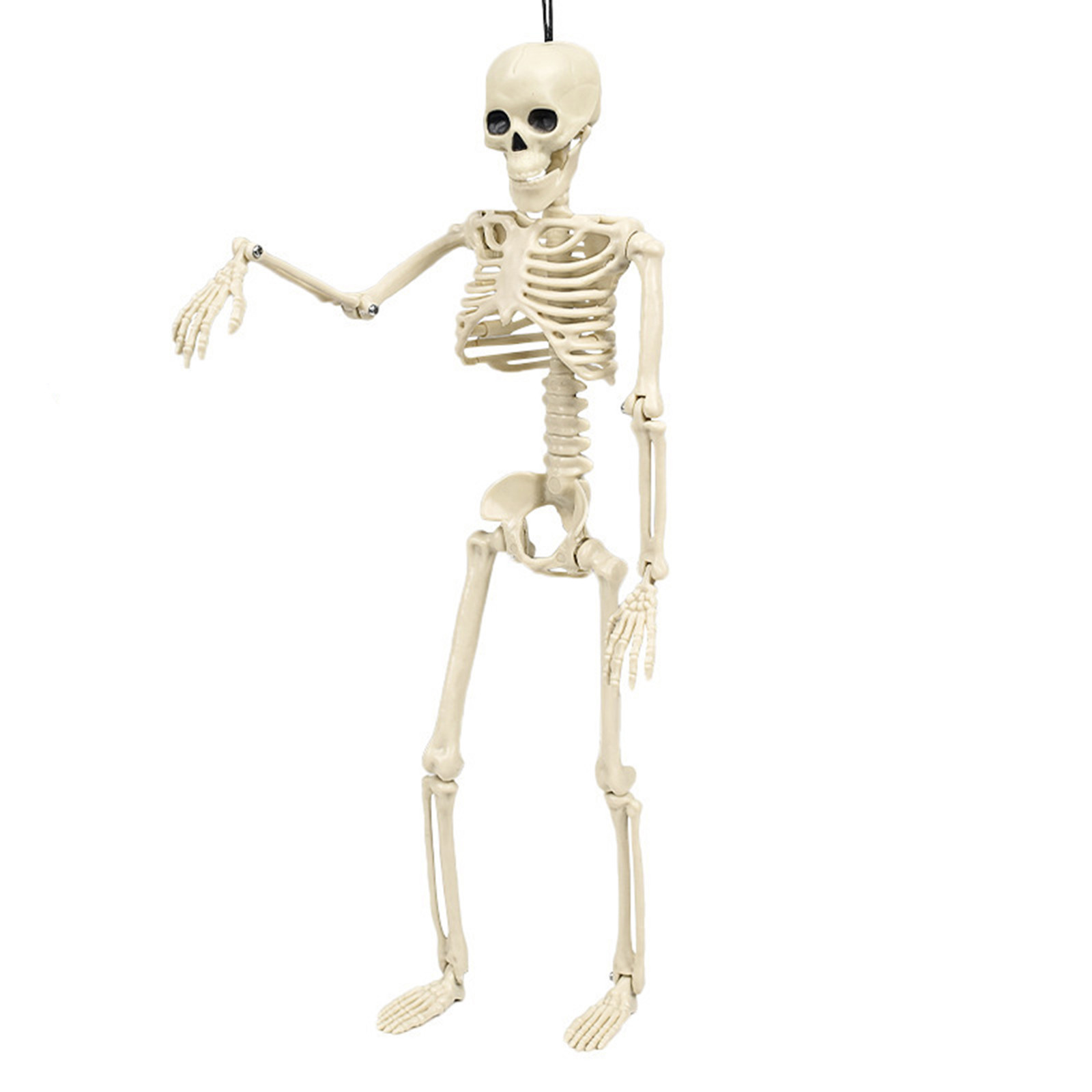 Halloween Skeletons - 15.74" Realistic Posable Full Body Skeleton Decor with Movable Joints ...