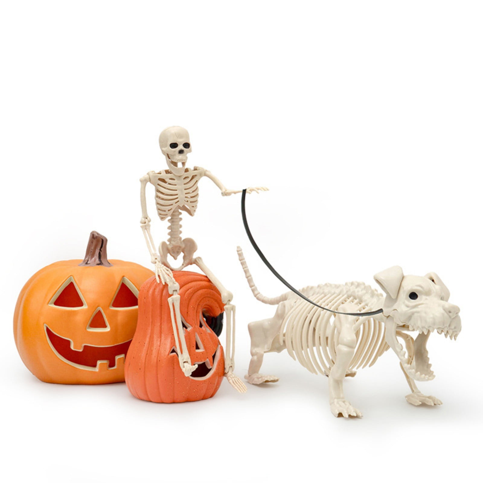 Halloween Skeletons Decoration, Full Size Skeleton with Skeleton Dog ...