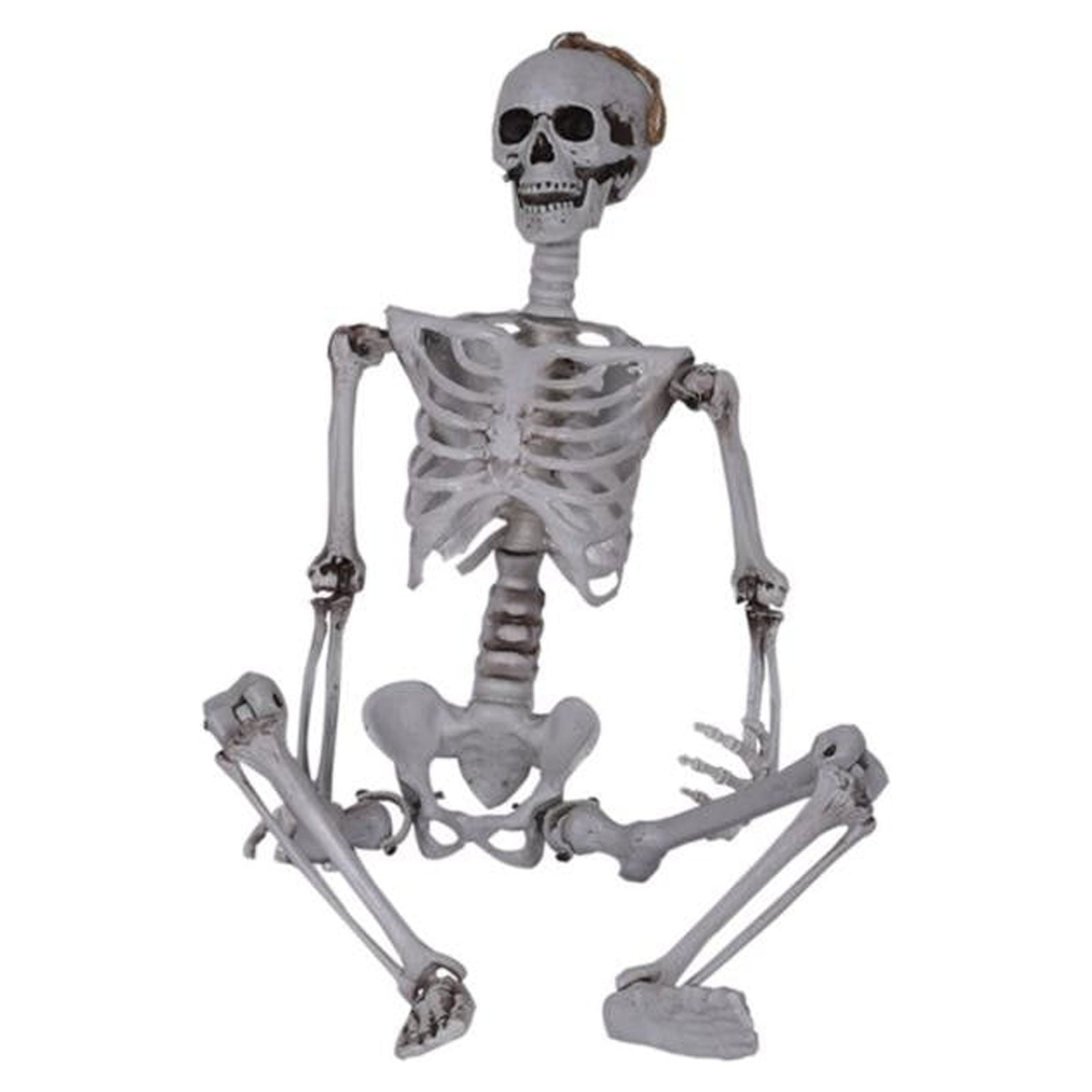 Halloween Skeletons Decorations,Halloween Posable Life Size Skeleton ...