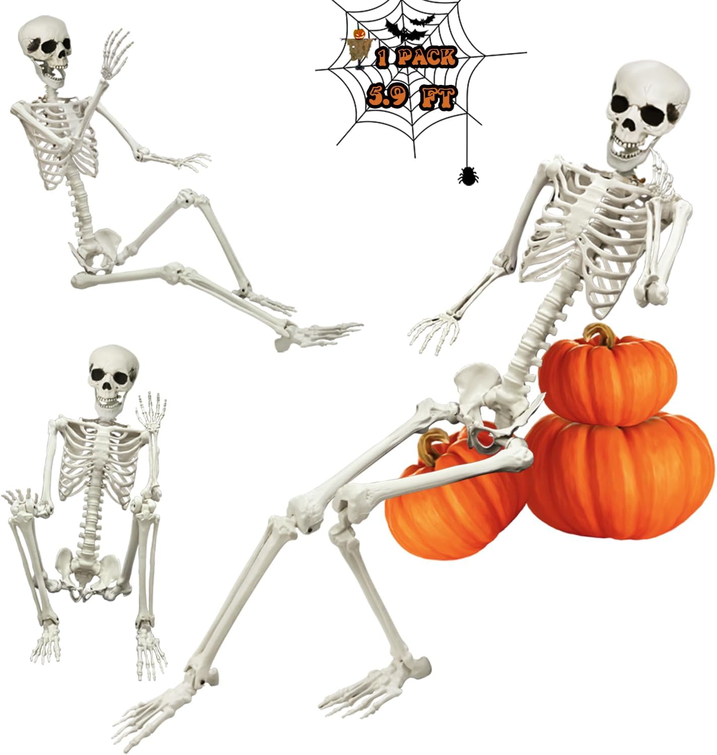 Halloween Skeletons, Full Size Skeleton with Skeleton Dog, Plastic Life ...