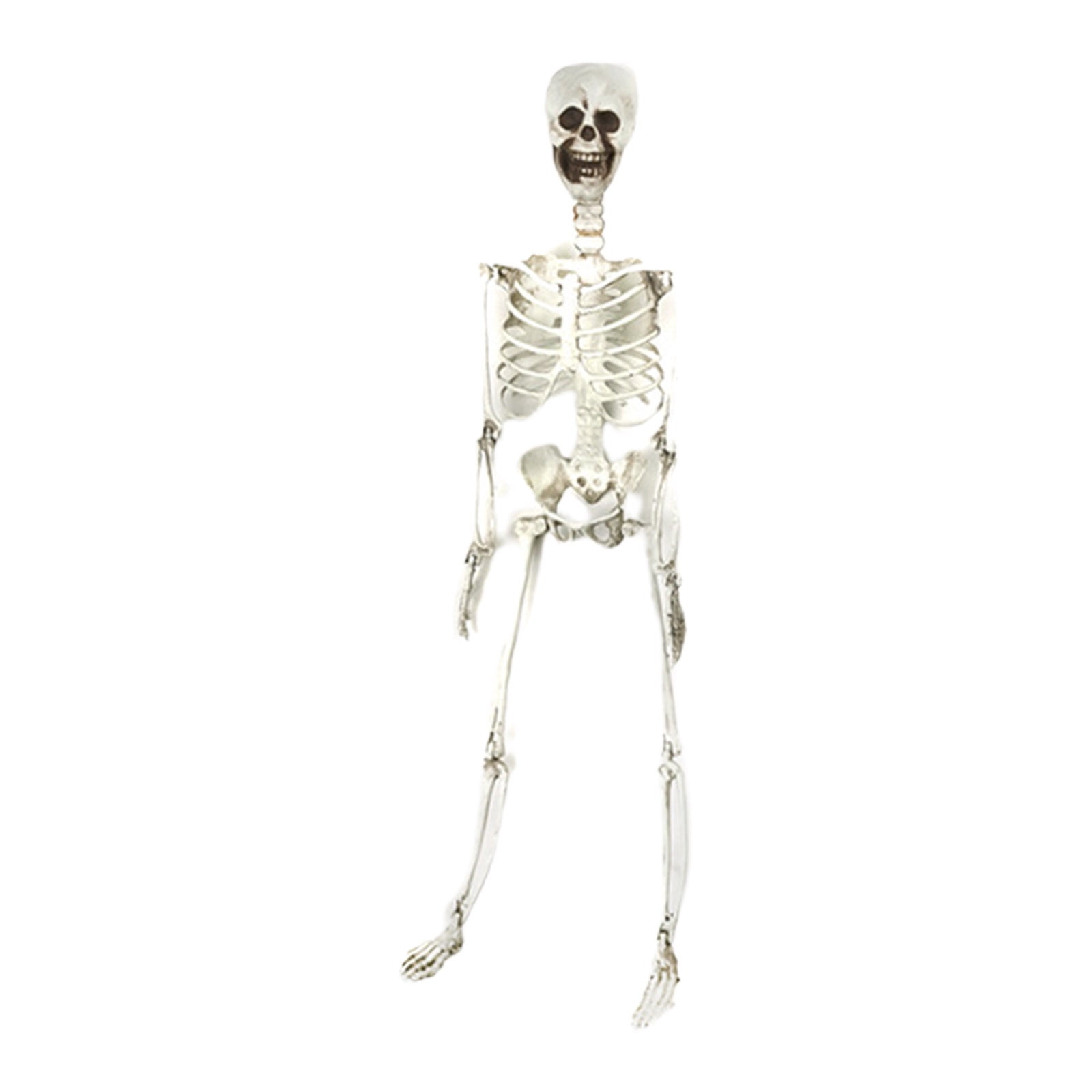 Halloween Skeletons Life Size,Realistic Human Skeleton Full Body ...