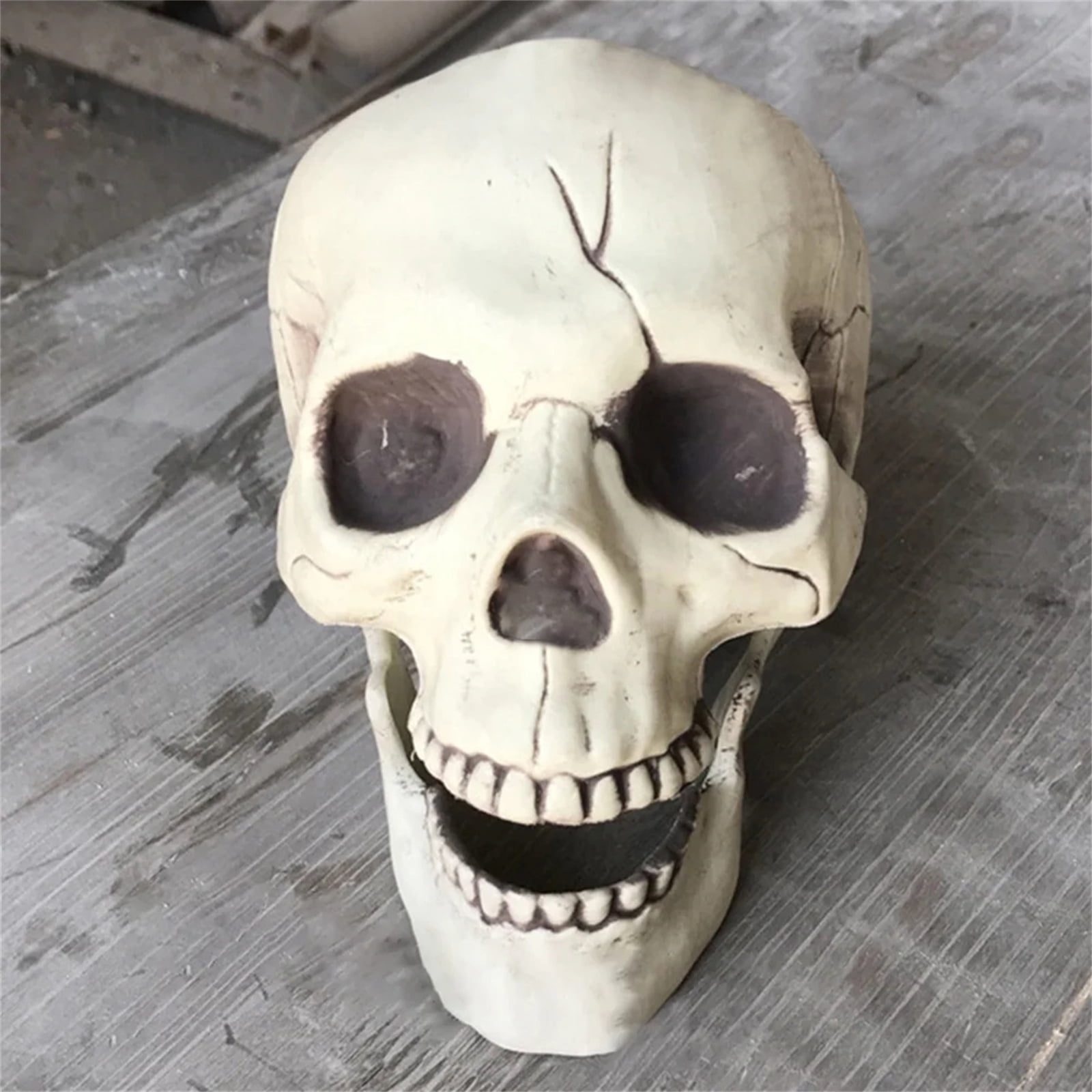 Halloween Skeletons Plastic Realistic Fake Simulation Human Skull ...
