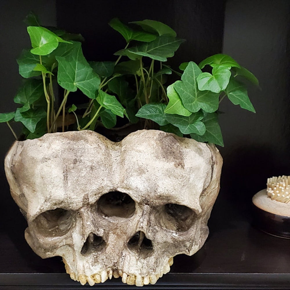 Halloween Skull Planter Resin Skull Shape Flower Pot Cactus Succulent ...