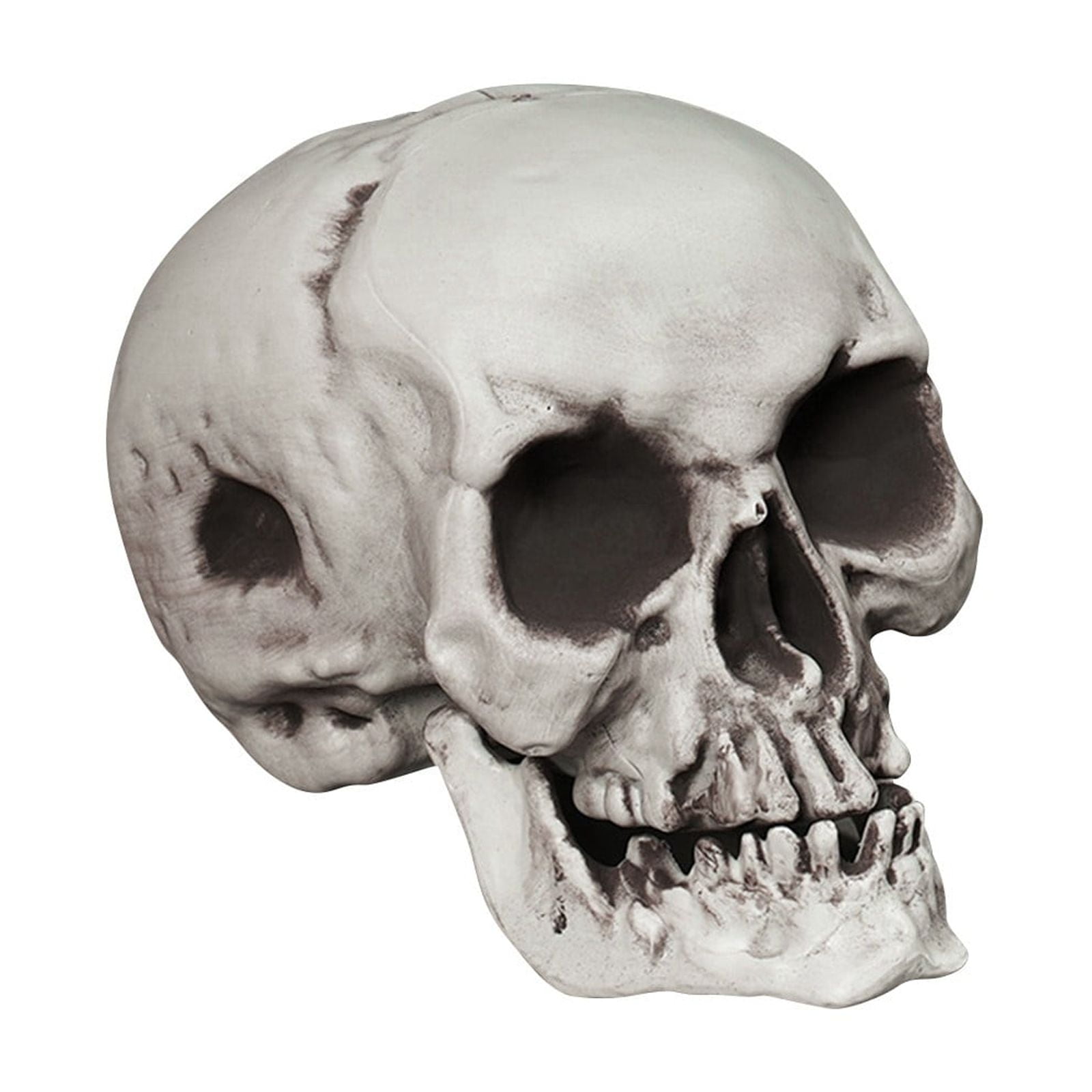 Halloween Skull - Plastic Skull Halloween Decor, Realistic Bloodstain ...