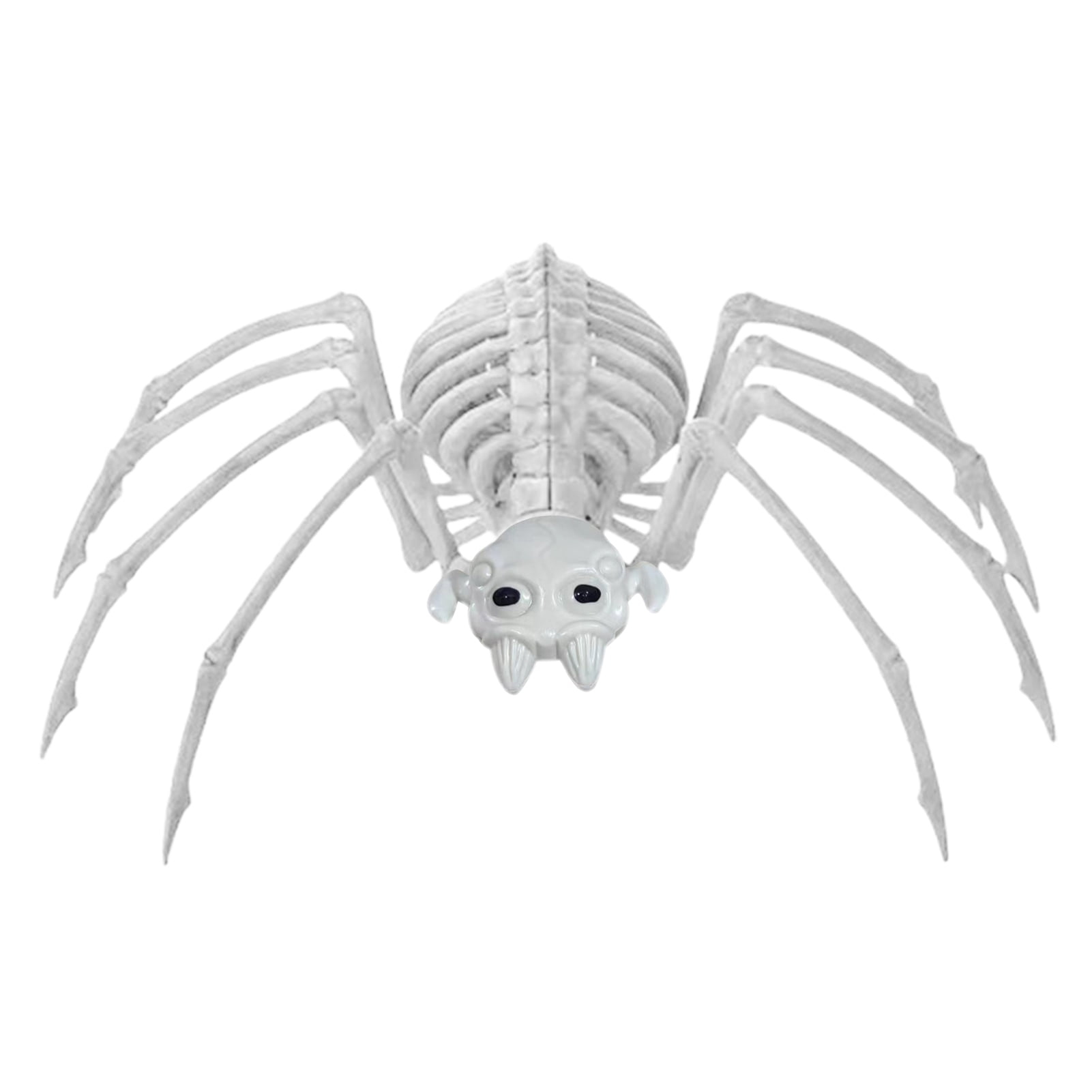Halloween Spider Skeleton Plastic Skeleton Animal Model Decoration ...