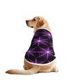 Halloween Spider Web Dog T Shirts Vest for Dogs Fit - Spring, Summer ...