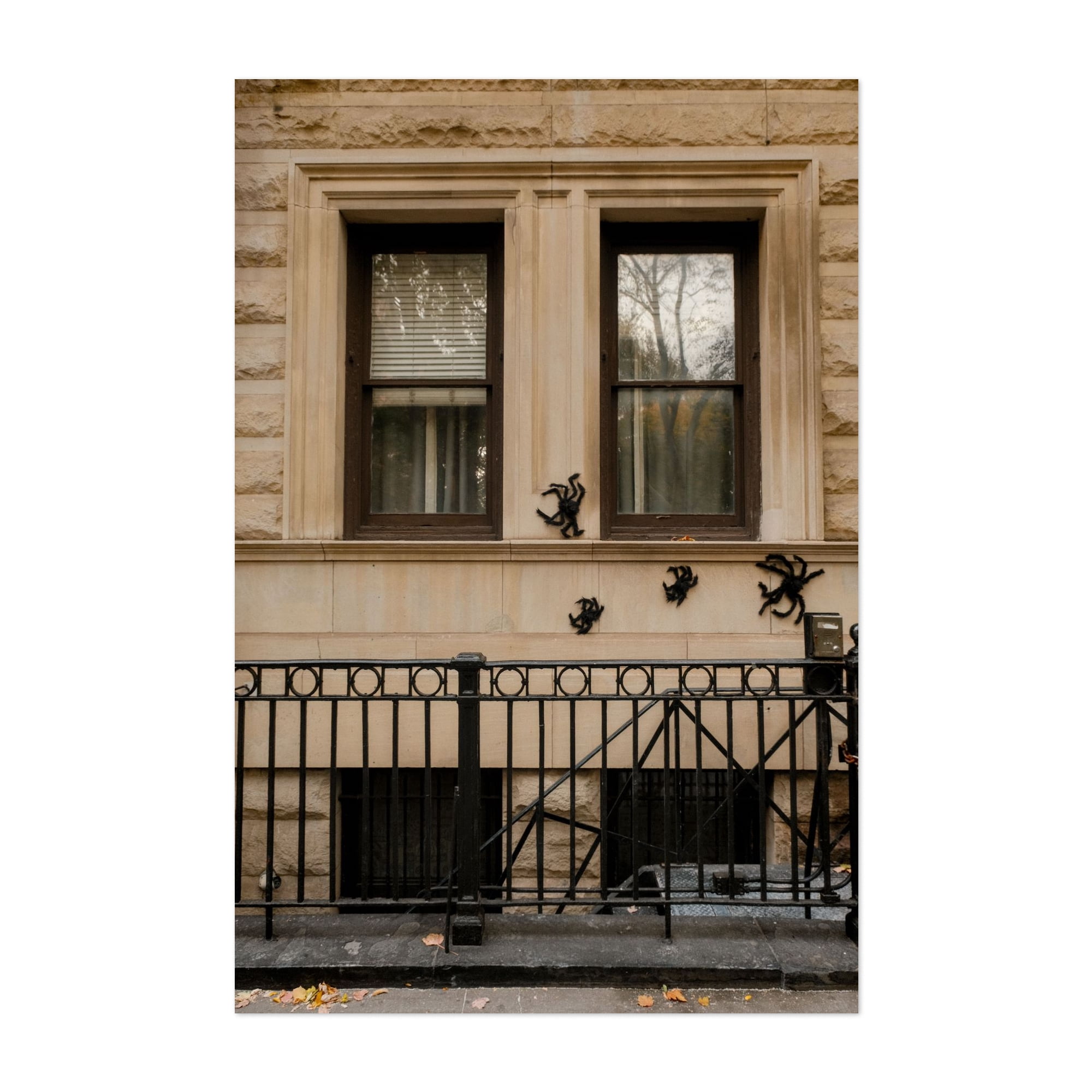 Halloween Spiders in the Village - Manhattan New York Photography ...