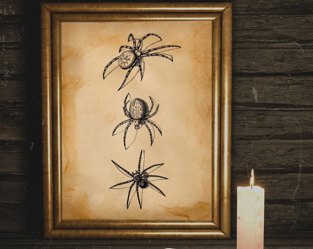 Halloween Spiders Vintage Illustration Art Print, Macabre Art, Macabre ...