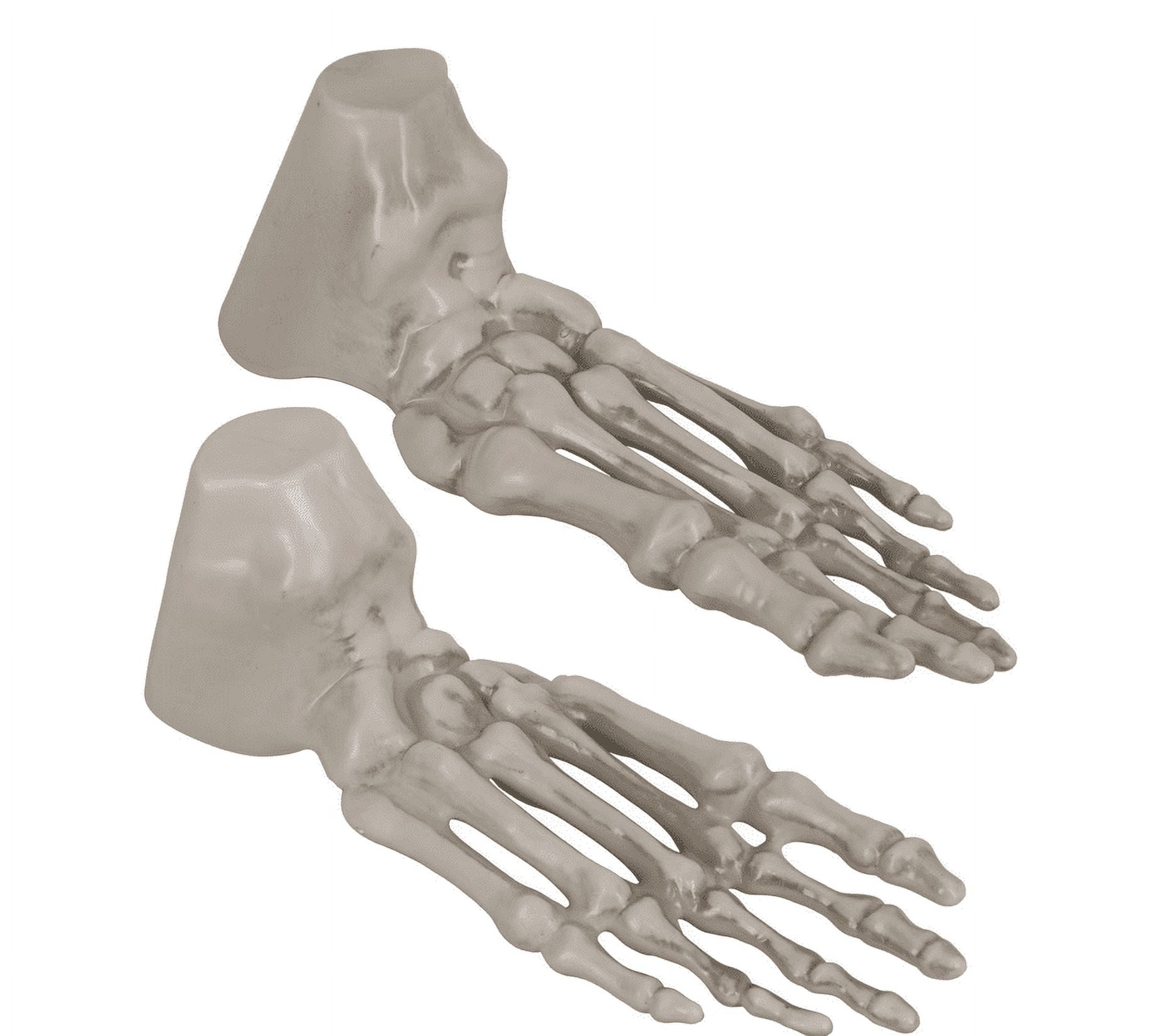 Halloween Themed Plastic Human Skeleton Foot Decor 7.13x2.5x2.9 in Set ...