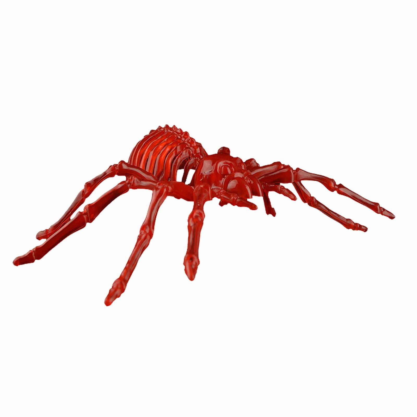 Halloween Tricky Funny Animal Model Skeleton Skeleton Spidermodel ...