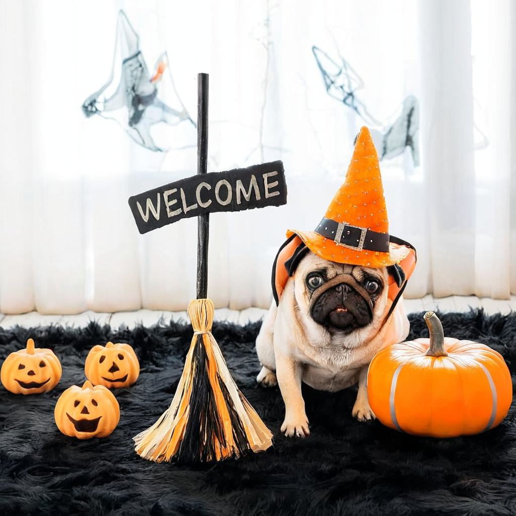 Halloween Witch Broom Fairy Voice Control Interactive Witch Broom with ...