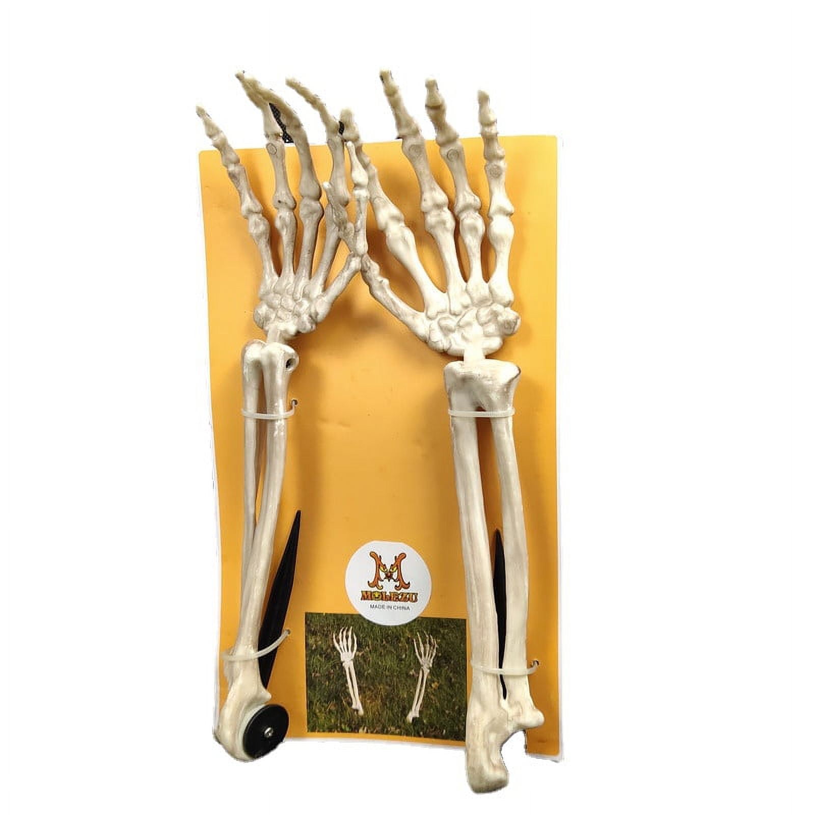 Halloween decoration skull arm plastic crafts simulation human skeleton ...