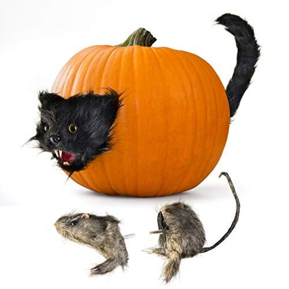 Halloween decorations- Creepy Scary Cat and Furry Rat Heads & Tails ...