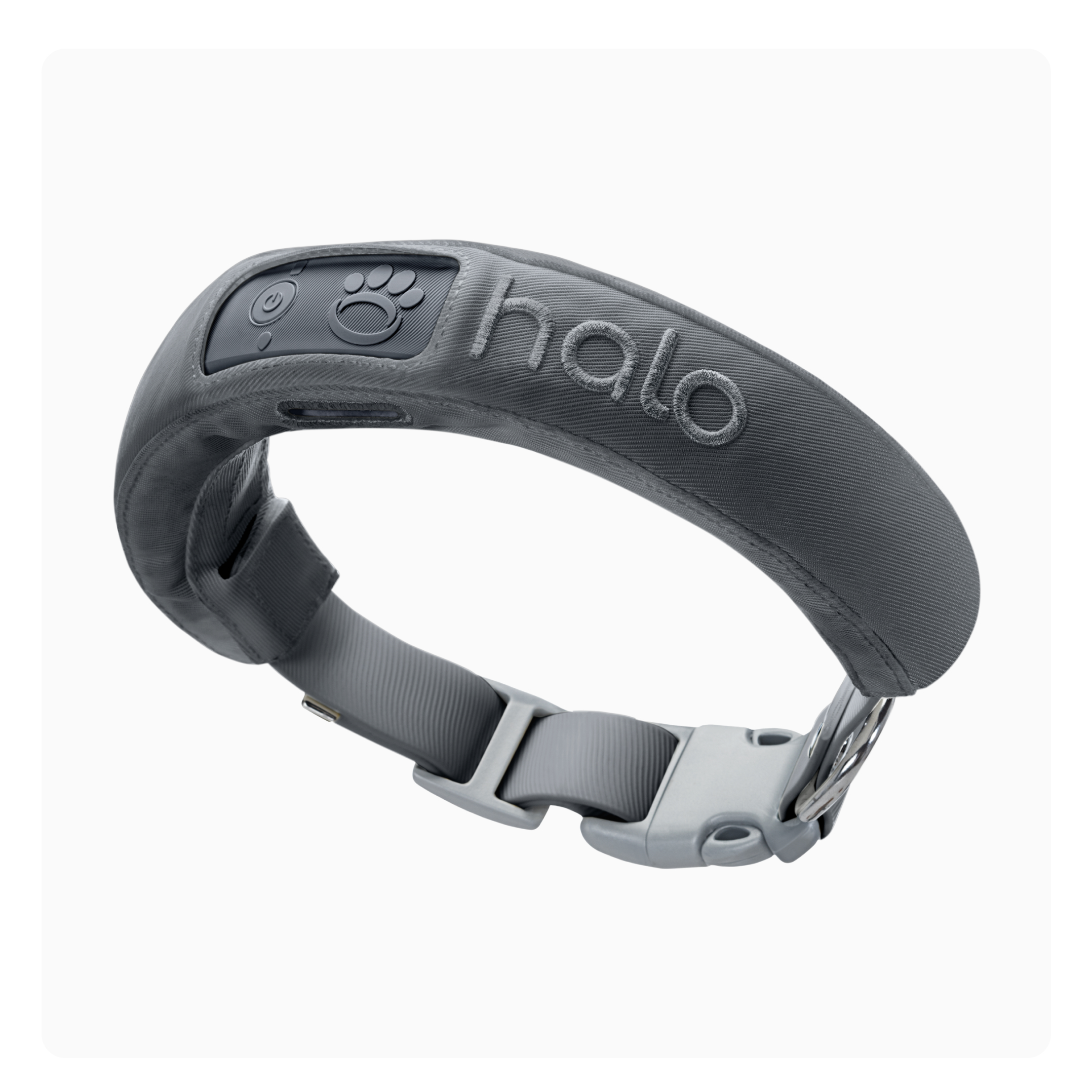 Whistle Medium Twist & Go Dog Tracking Collar Compatible With Whistle ...