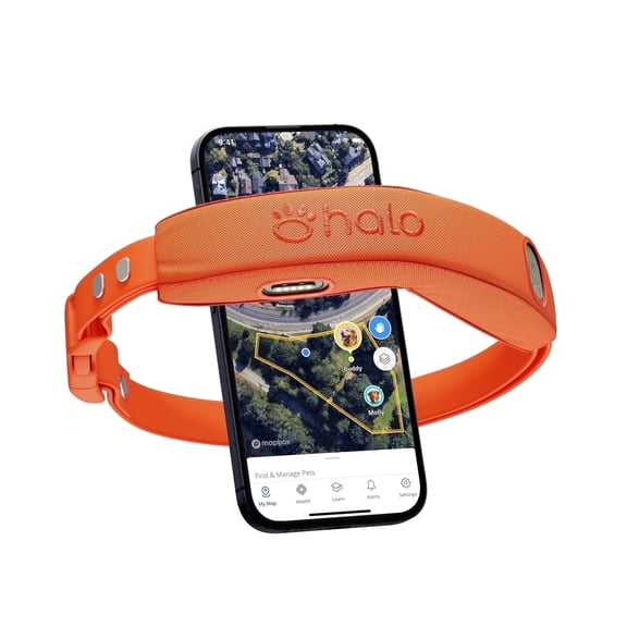 Halo Collar 4 Wireless Dog Fence System, GPS Collar, One Size, Orchid ...