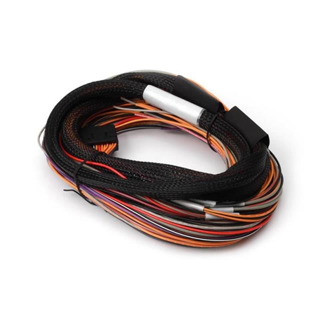Haltech HT-049902 8 ft. IO 12 Expander Box Flying Lead Harness - A & B ...
