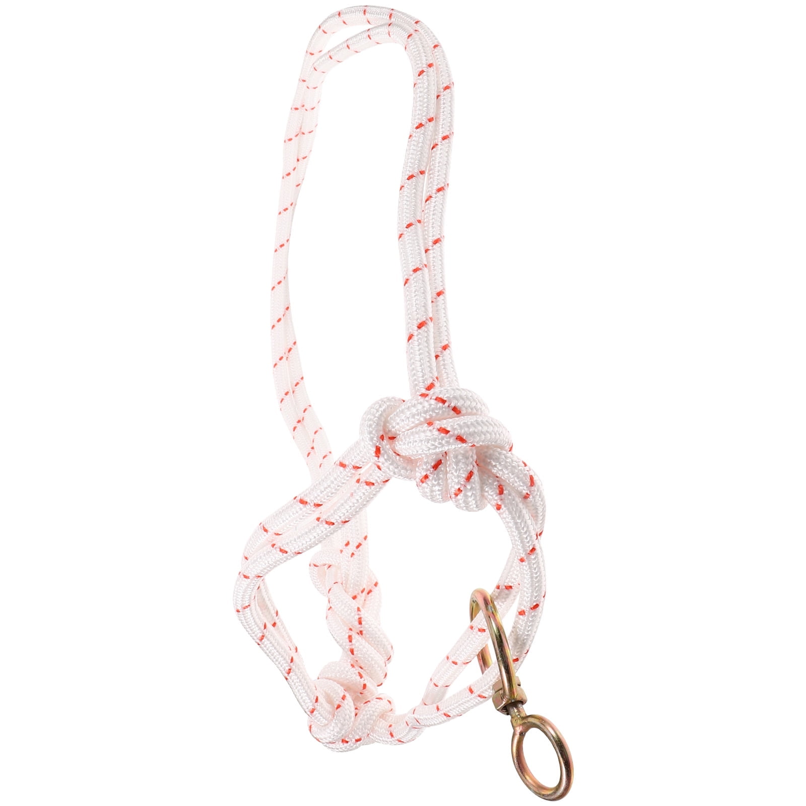 Halter for Cattle Rope Halter Portable Cattle Head Bridle Lightweight ...