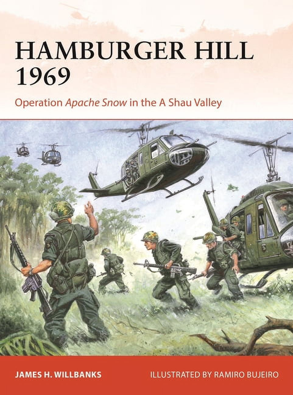 Campaign Hamburger Hill 1969: Operation Apache Snow in the a Shau ...