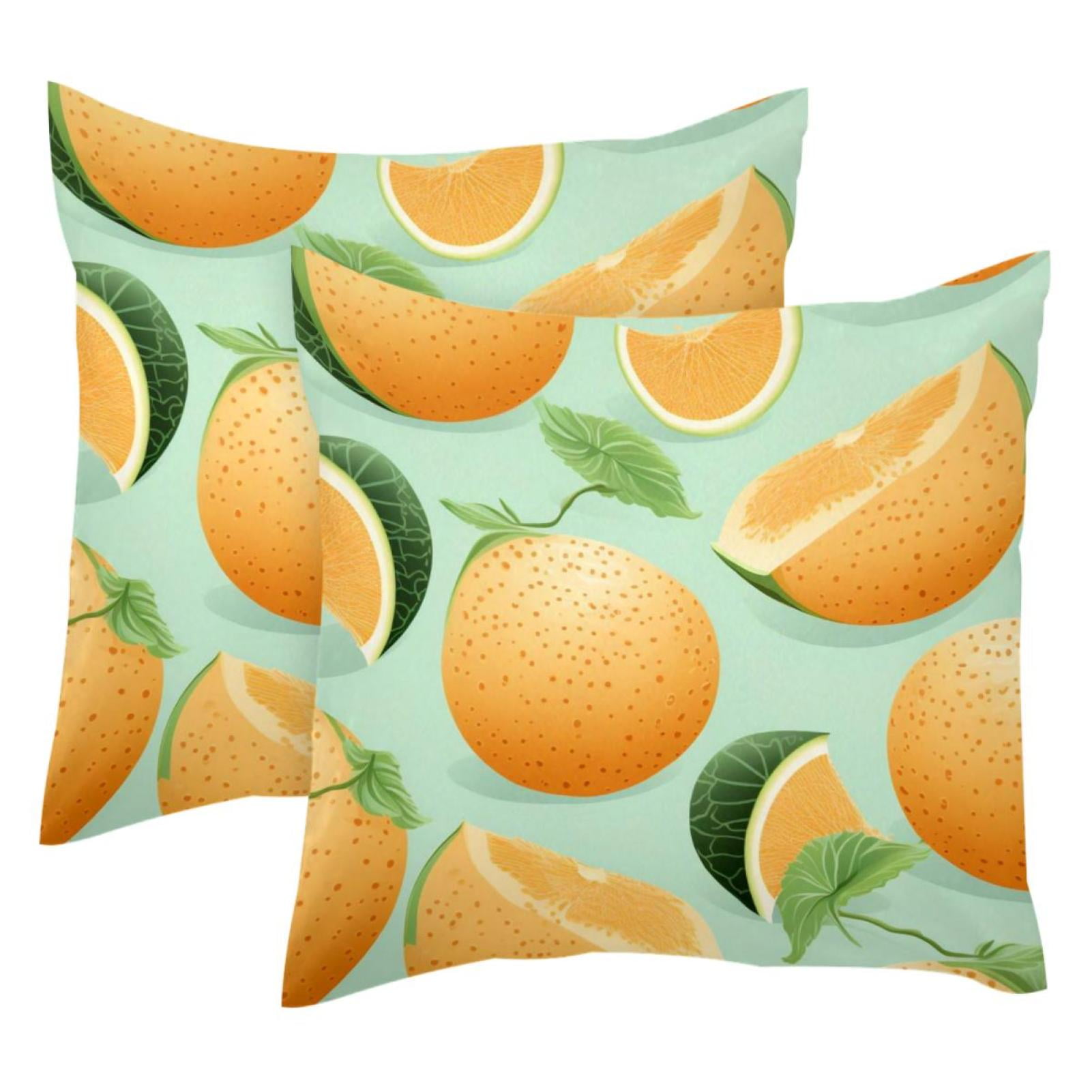 Hami Melon Cantaloupe Fruits Luxurious Velvet Throw Pillow Inserts 2PCS ...