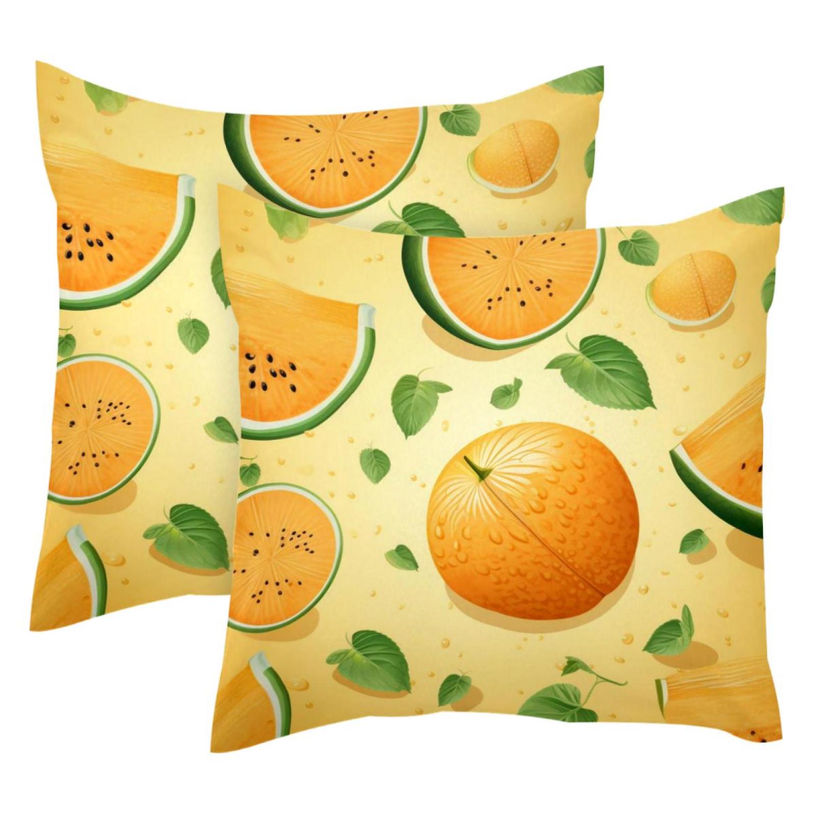 Hami Melon Cantaloupe Fruits Pattern 2PCS Printed Square Cushion 18x18 Inch Pillow Luxurious ...