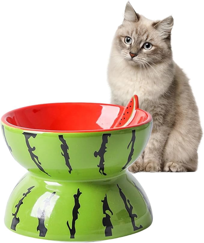 Hamiledyi Ceramic Raised Cat Bowl 5In Elevated Wide Cat Bowl for Food ...