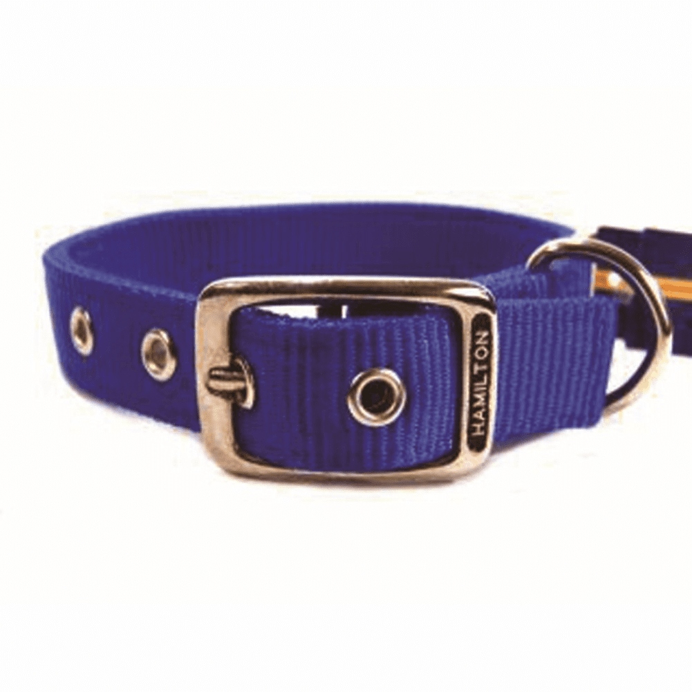 Hamilton 1" Double Thick Nylon Deluxe Dog Collar, 18" long, Blue ...