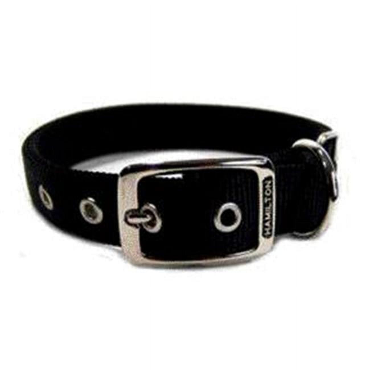 Hamilton 1" Double Thick Nylon Deluxe Dog Collar, 20" long, Black ...
